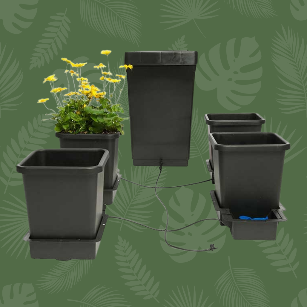 Hawthorne Horticulture